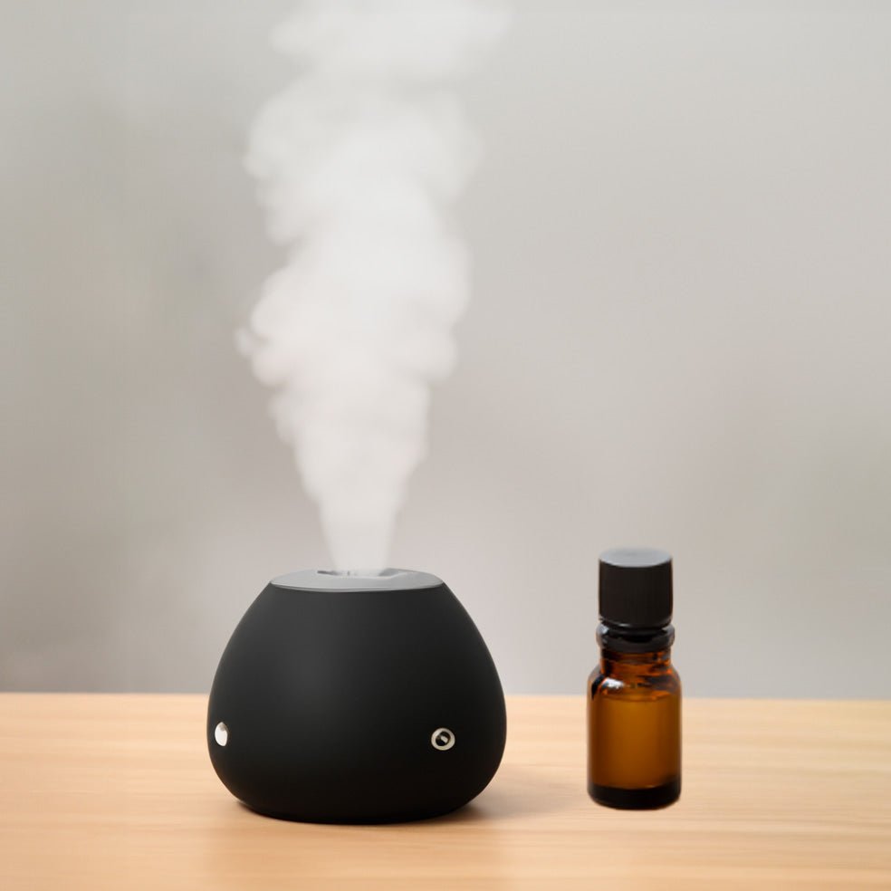Sand & Citrus Diffuser Oil – Fjord and Fable